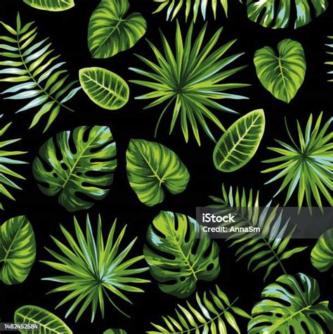 야자수 잎이 있는 열대 이음매 없는 패턴 벡터 식물 그림입니다 녹색 색상입니다 0명에 대한 스톡 벡터 아트 및 기타 이미지 0명 그래픽 프린트 나무 Istock