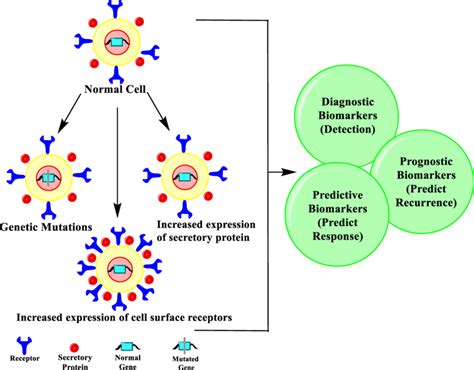 Multiple Significance Of Cancer Biosensor Download Scientific Diagram