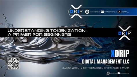 Understanding Tokenization A Primer For Beginners XDRIP