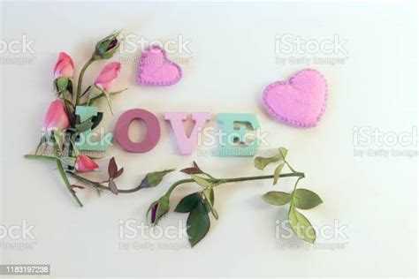 여러 가지 빛깔의 글자 중 사랑이라는 단어는 로즈버드 꽃잎 하트로 장식되어 있습니다 0명에 대한 스톡 사진 및 기타 이미지 0명 구도 꽃 식물 Istock