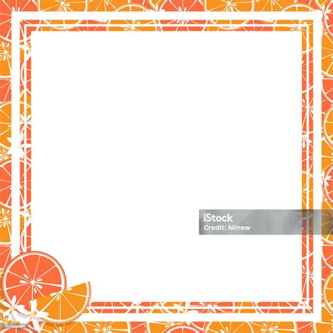 감귤류 과일 배경에 사각형 흰색 프레임과 직사각형 레이블의 벡터 그림입니다 열대 신선하고 육즙이 오렌지 감귤류 과일은 밀접하게 평평한 디자인의 배경과 꽃을 간격으로 0명에