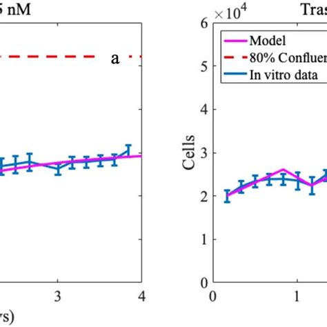 Example Fits For The Mathematical Model After Being Calibrated To The
