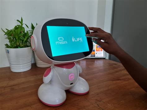 Review Misa Social Robot Gadget Voize