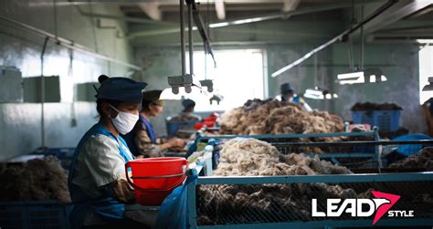 Ноолуурын зах зээлд чиглэсэн тогтоолын төслийг өргөн барилаа