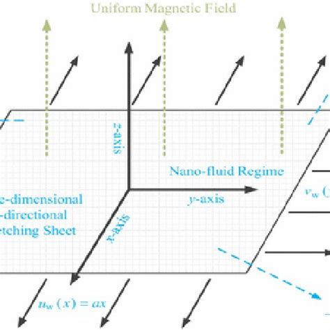 Physical Model And Coordinate System Download Scientific Diagram