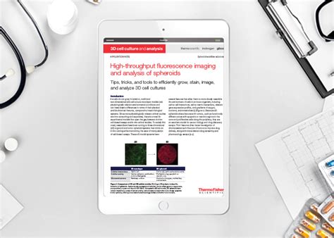 Application Note High Throughput Imaging And Analysis Of Spheroids Drug Target Review