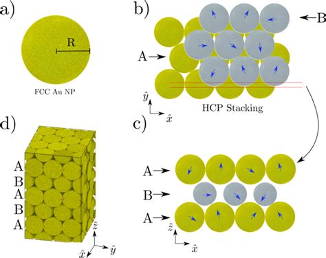 Illustration Of The Np Array Construction A Single Au Np With A