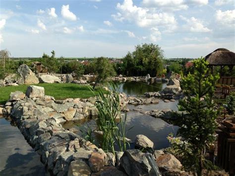 Садовый центр Сакура Братское Днепропетровская обл ціна 2025