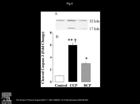 Improved Profile Of Bad Phosphorylation And Caspase 3 Activation After Blood Versus Crystalloid