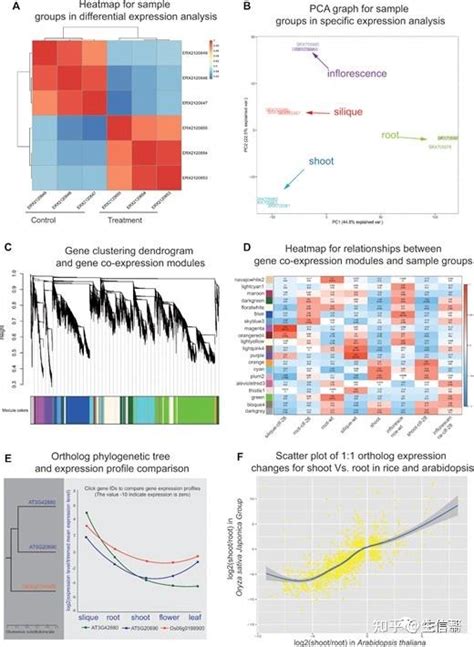 Plantexp植物转录组表达和可变剪接数据库 知乎