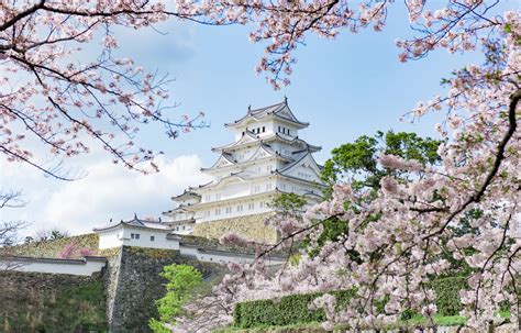 日本最佳花見景點推薦 你一定要知道的東京鎌倉京都奈良賞櫻名勝 All About Japan
