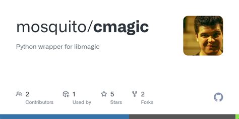 Github Mosquitocmagic Python Wrapper For Libmagic