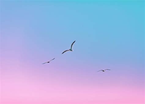 agustinus theodorus on linkedin react native app development on wsl2 using physical devices