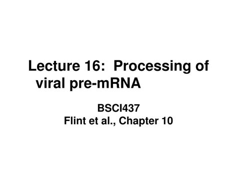 Ppt Lecture 16 Processing Of Viral Pre Mrna Powerpoint Presentation Id763998
