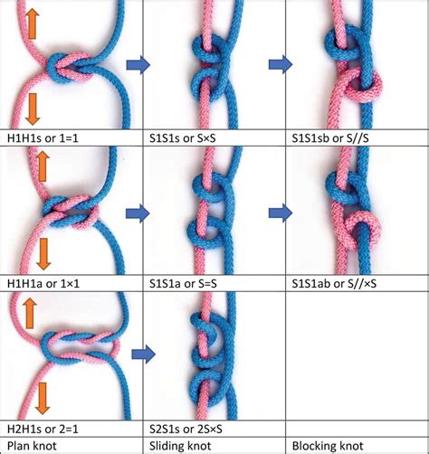 Advanced Knotting Techniques Examples From Surgical Practice Intechopen