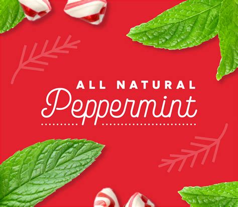 Crushed Mint Twists® Peppermint For Baking 8 Oz Bag Atkinson Candy Co