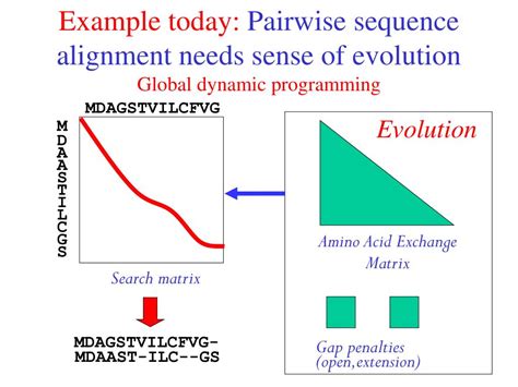 Ppt Pair Wise Sequence Alignment Powerpoint Presentation Free