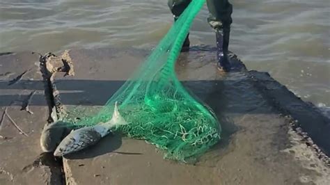 바다 투망 행복 투망 Youtube