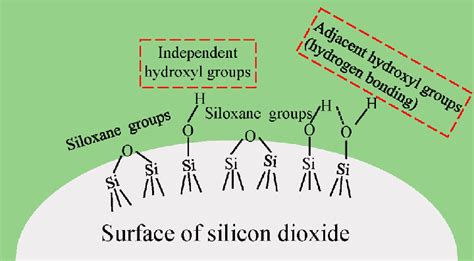 Surface Groups Of Hydrophilic Sio 2 Download Scientific Diagram