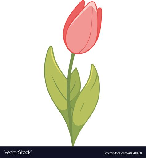 Beauty Pink Tulip Flower Nature Icon Royalty Free Vector