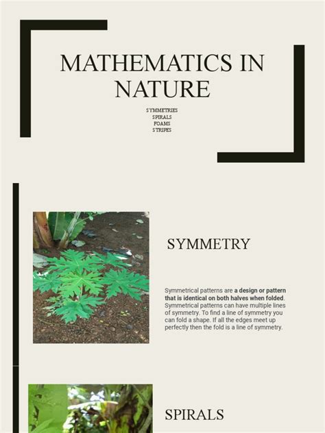 Mathematics In Nature Symmetries Spirals Foams Stripes Pdf