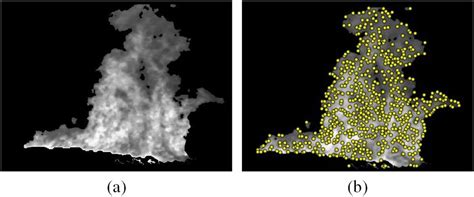Processed Image Used For Feature Detection A And The Matched Points B Download Scientific