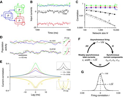 Asynchronous Activity In A Binary Recurrent Network A Schematic Of Download Scientific