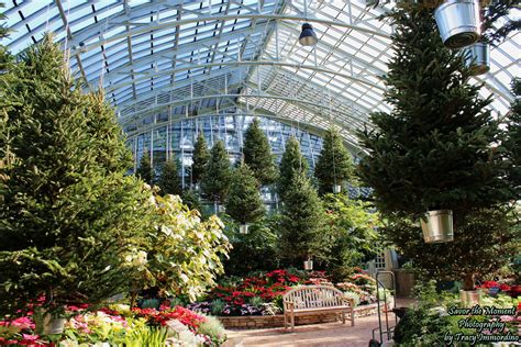 Visiting The Garfield Park Conservatory In Chicago Savor The Moment