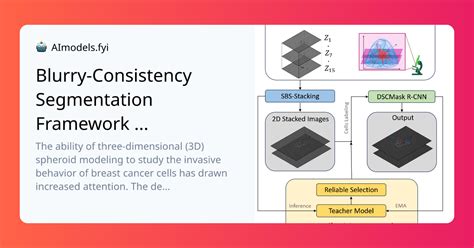 Blurry Consistency Segmentation Framework With Selective Stacking On Differential Interference