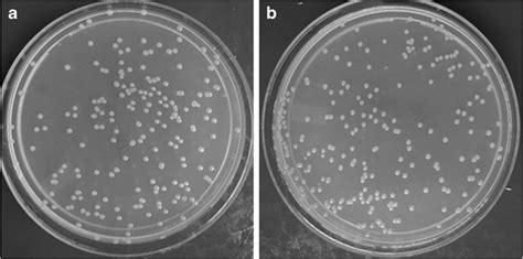 Cells Plated For Counting Cfu Ml 9 25 × 10⁷ Cfu Ml A Before Dep 10⁵