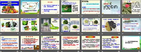 绿色植物是生物圈中有机物的制造者PPT课件2 第一PPT