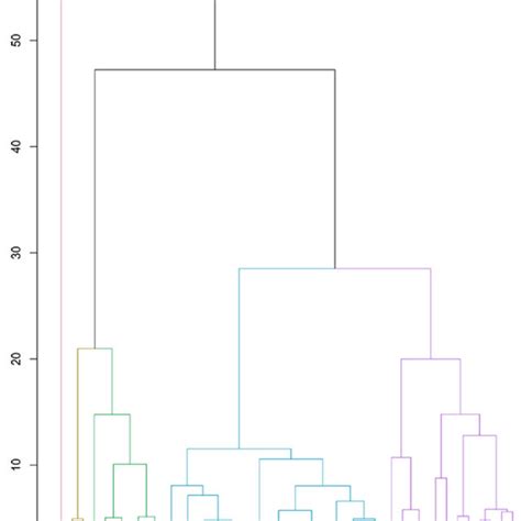 Dendrogram Generated By The Upgma Method From The Distance Matrix