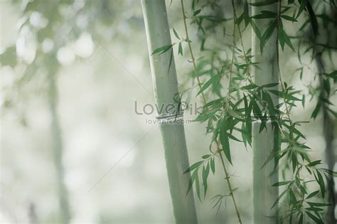 아름다운 녹색 대나무 라인 배경 이미지 Hd 대나무 표면 선 대나무 대나무 스파 배경 사진 무료 다운로드 Lovepik