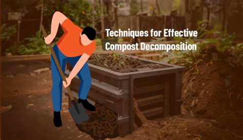 Techniques For Effective Compost Decomposition Harnessing Esr Principles For Long Term Success