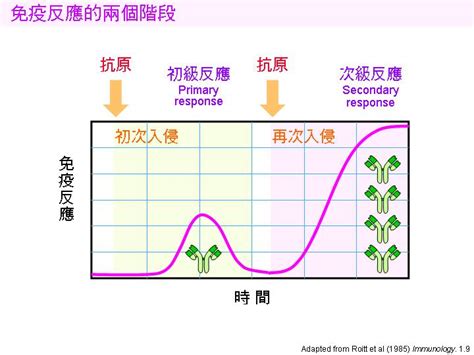 單株抗體