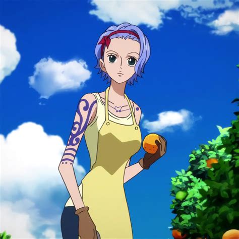 Nojiko One Piece One Piece One Piece Nami One Piece Anime