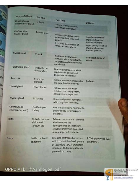 Bkp Cheat Sheet Science Class 10 Utkarsh Saxena Page 51 Flip Pdf Online Pubhtml5