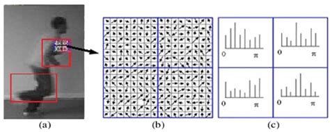 Figure 4 From Recognition Of Human Activities From Still Image Using Novel Classifier Semantic