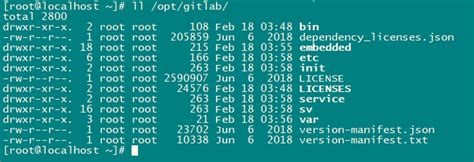 Gitlab 社区版 10 8 4 安装、汉化与使用教程 技术栈