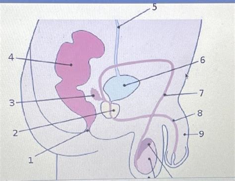 Solved Label The Numbers Chegg Com