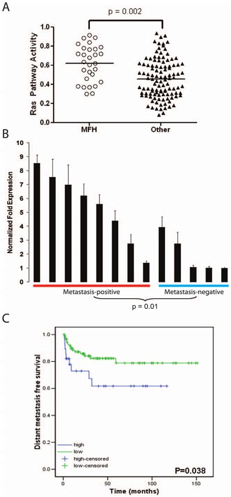 The Lsl Kras G12d Trp53 Flox Flox Mouse Model Of Soft Tissue Sarcoma Download Scientific