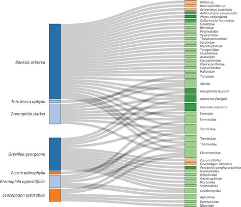 Taxa Identified On Each Plant Species Using Edna Metabarcoding Of