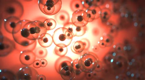 Cell And Tissue Technology