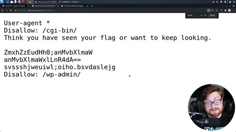 Secrets In Robotstxt Picoctf 2022 36 Roboto Sans Youtube