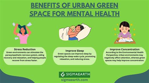 The Benefits Of Urban Green Spaces For Mental Health Sigma Earth