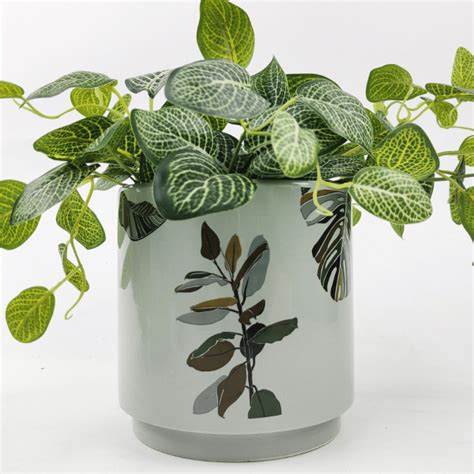 Ivy Foliage Planter Sproutwell Decor