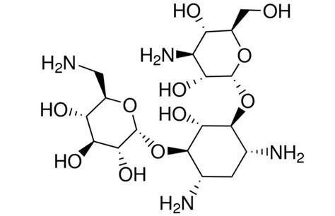 卡那霉素 Bsa（或ova）抗原 广州优抗多生物技术有限公司