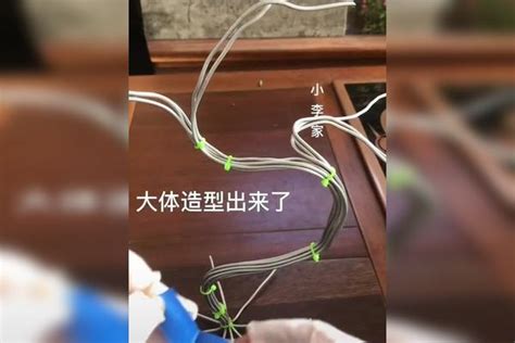 高手在民间用八根铝线这样子手工弯盆景这技术真是美观 铝线 盆景 手工
