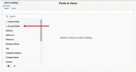 Editing Account Fields