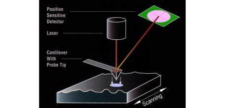 Schematic Drawing Of The Working Principle Of An Atomic Force Download Scientific Diagram